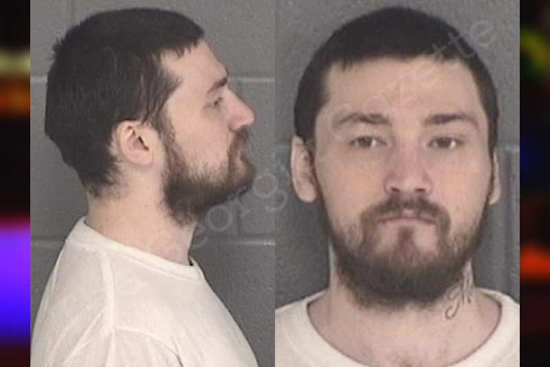 Ryan Morris — Barrow County Jail Bookings