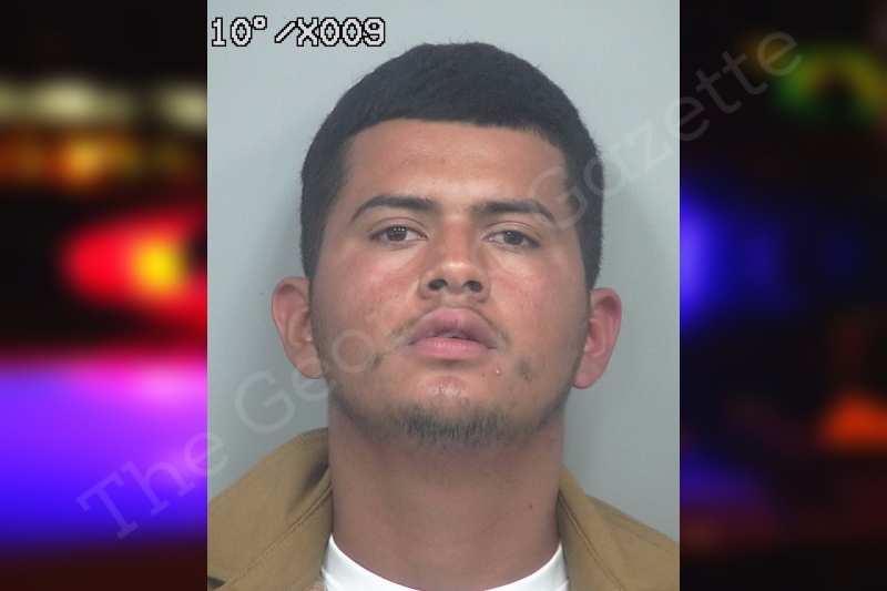 Brayan Rivas Ramos — Gwinnett County Jail Bookings