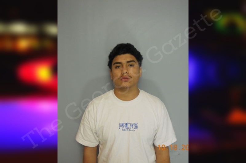 Jose Rocha — Hall County Jail Bookings