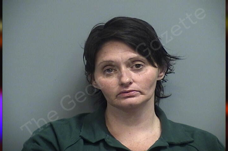 Shannon Ray — Effingham County Jail Bookings