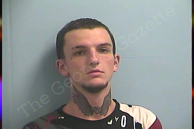 Taylor Shedd | Dawson County