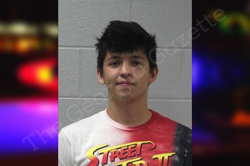 Ernest Sosebee — Gilmer County Jail Bookings