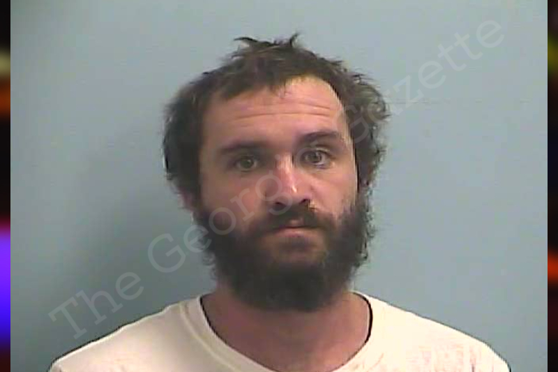 Brian Stephens — Dawson County Jail Bookings