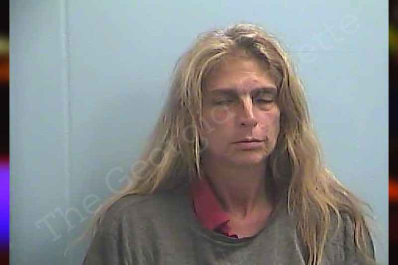 Christy Stringer — Dawson County Jail Bookings