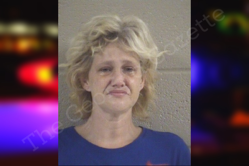 Tara Brown — Whitfield County Jail Bookings