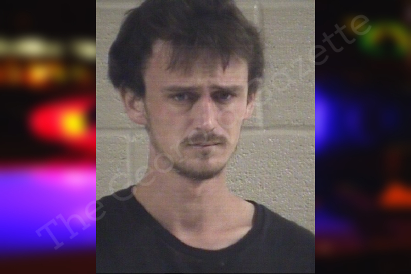 Tyler Goggans — Whitfield County Jail Bookings