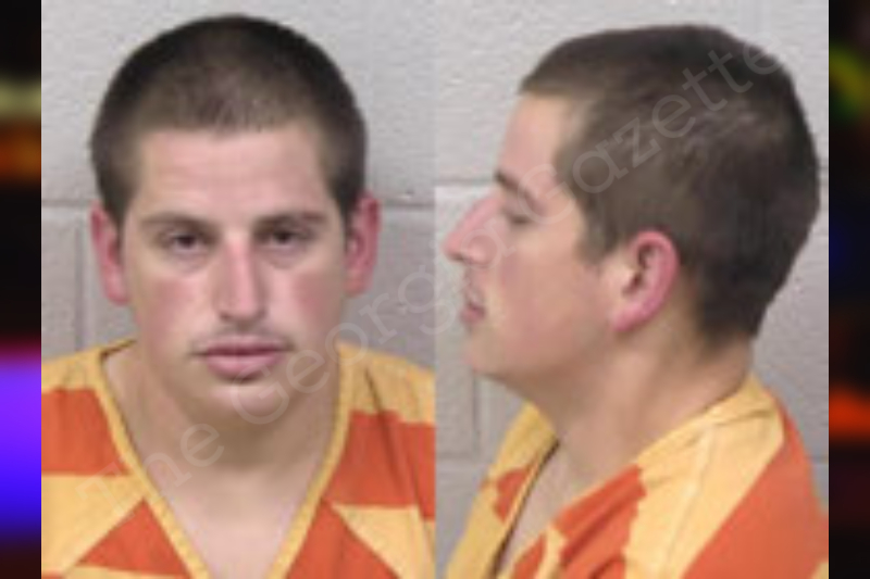 Craig Vick — Paulding County Jail Bookings