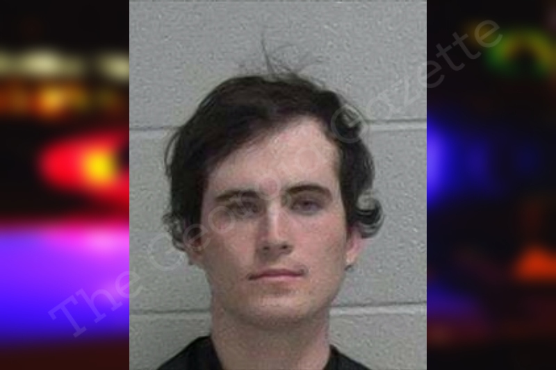 Addison Williams | Carroll County