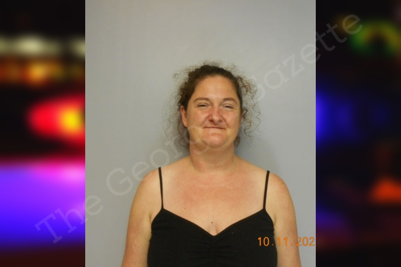 Pamela Wilson — Hall County Jail Bookings