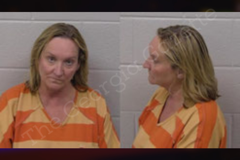 Lisa Warren — Paulding County Jail Bookings