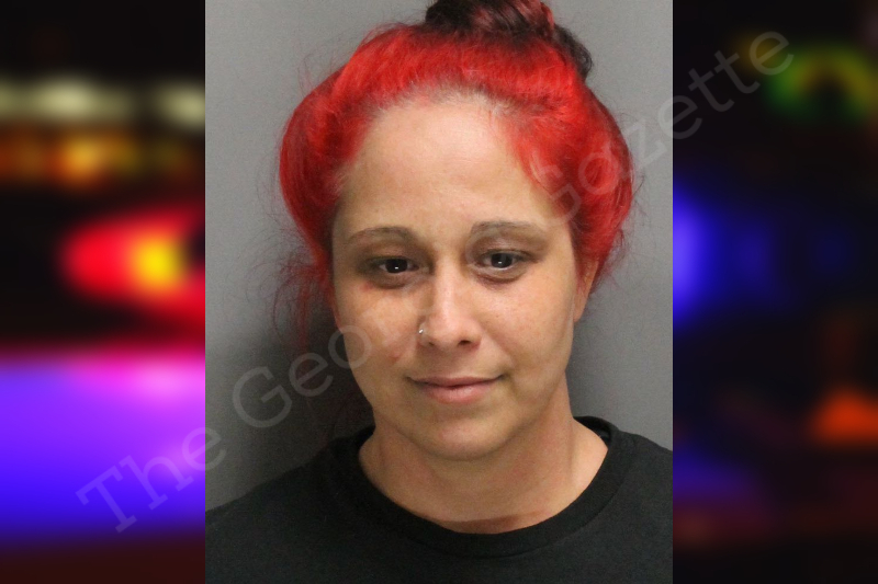 Anna Poe — Cobb County Jail Bookings