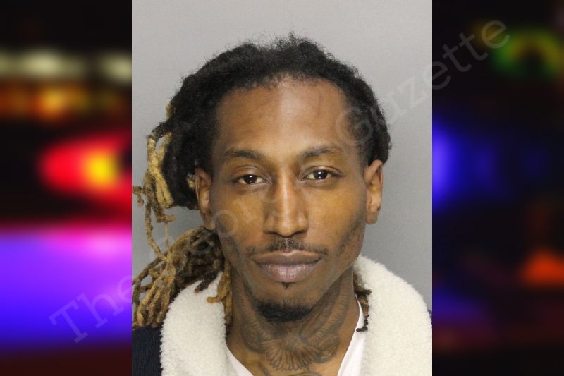 Anthony Gillis — Cobb County Jail Bookings