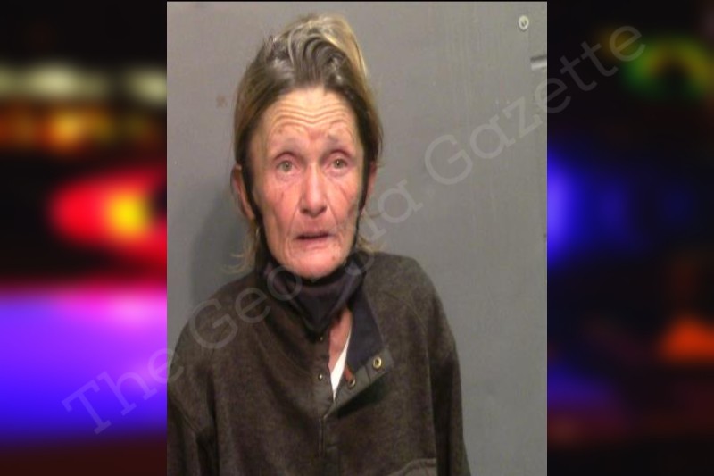 Karen Barrett — Glynn County Jail Bookings