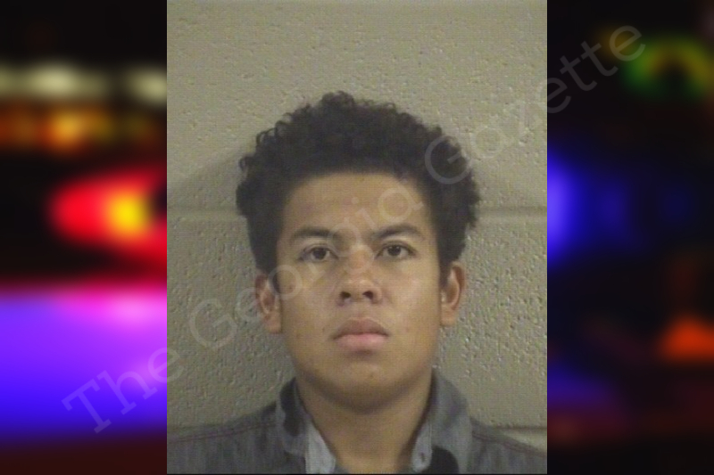 Bryan Banos-Leiva — Whitfield County Jail Bookings