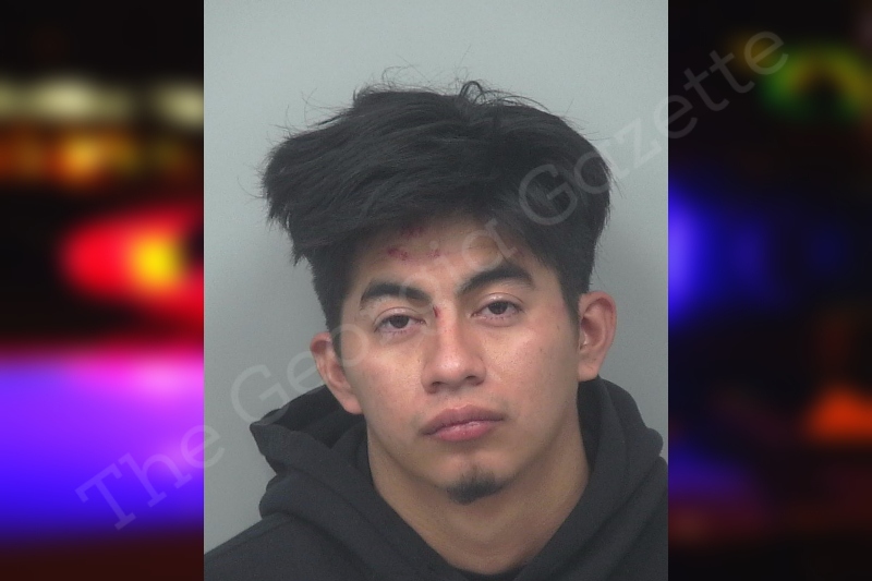 Michael Castanon Alvarado — Gwinnett County Jail Bookings