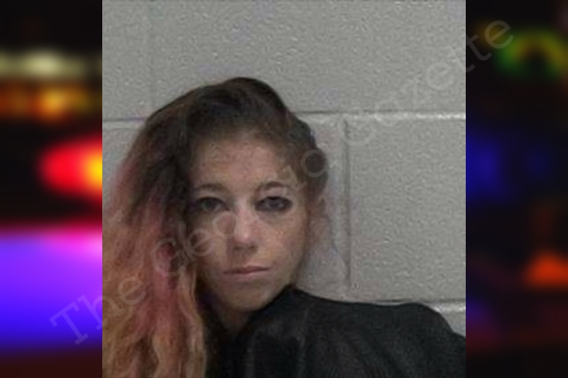 Monica Chappell — Carroll County Jail Bookings