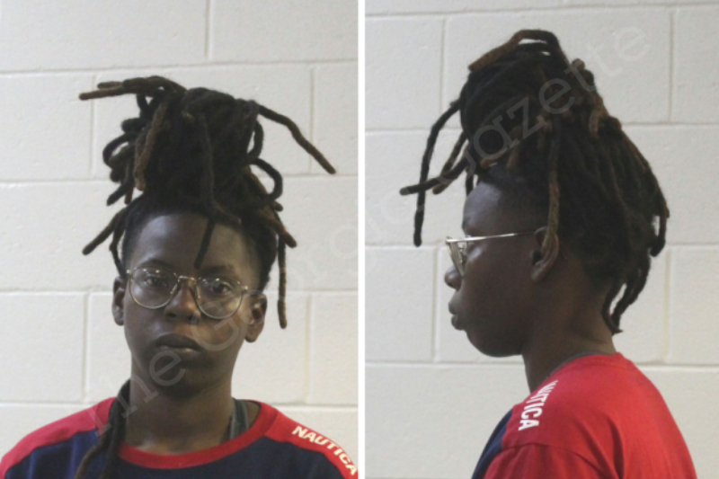 Dorothy Covin — Houston County Jail Bookings