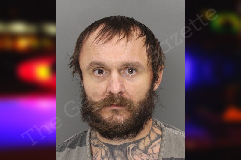 David Turpin — Cobb County Jail Bookings