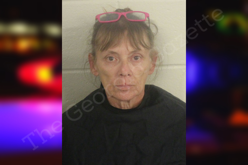 Suzanne Ellison — Floyd County Jail Bookings