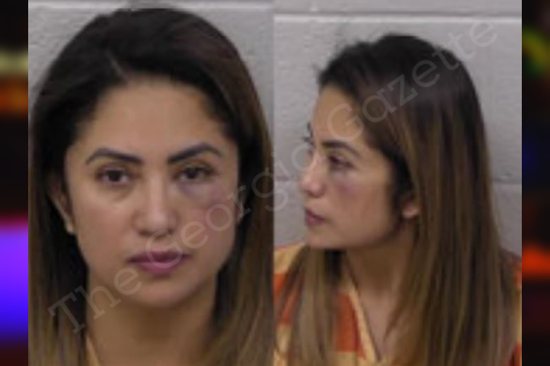 Elia Zarazua — Paulding County Jail Bookings