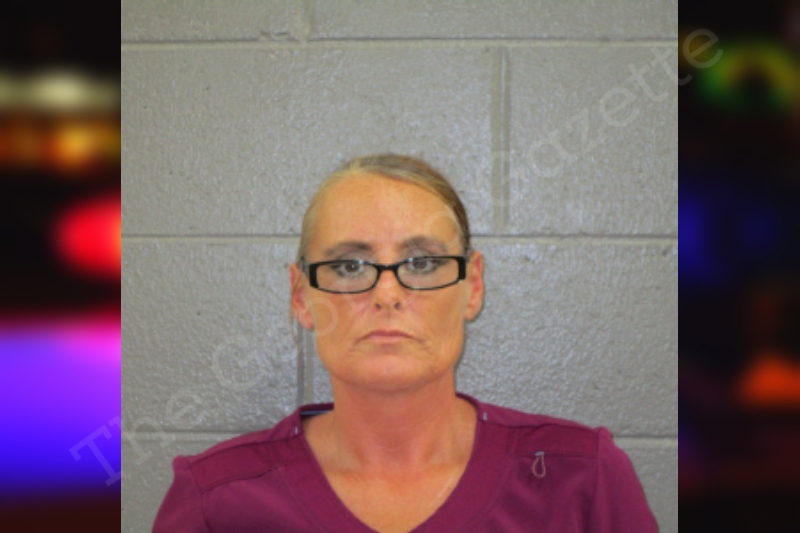 Sloan Tippens — Banks County Jail Bookings