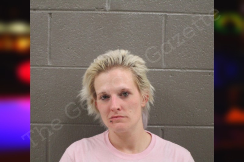 Emily Watkins — Banks County Jail Bookings