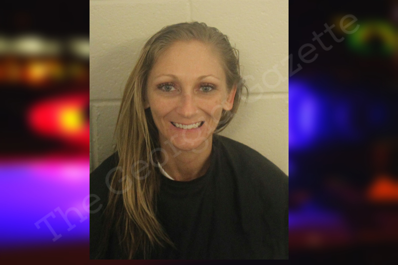 Alexis Gaylor — Floyd County Jail Bookings