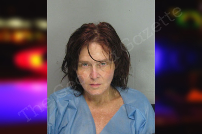 Kimberly Gentry — Hall County Jail Bookings