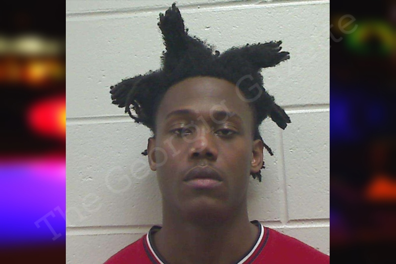 Hunter Grant — Bulloch County Jail Bookings