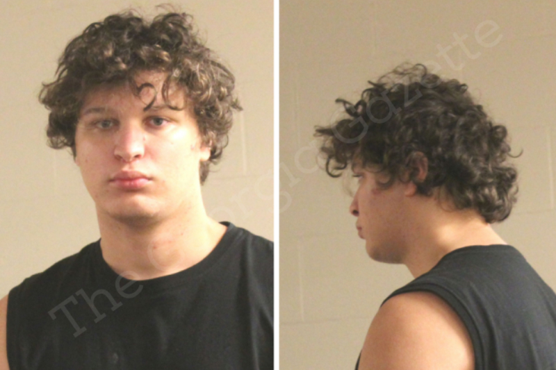 Andrew Gambrell — Houston County Jail Bookings