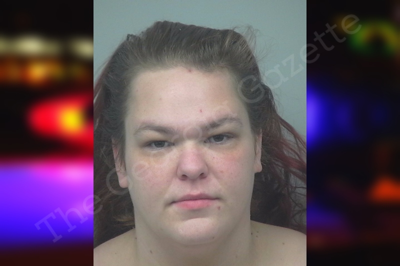 Catherine Hanson — Gwinnett County Jail Bookings
