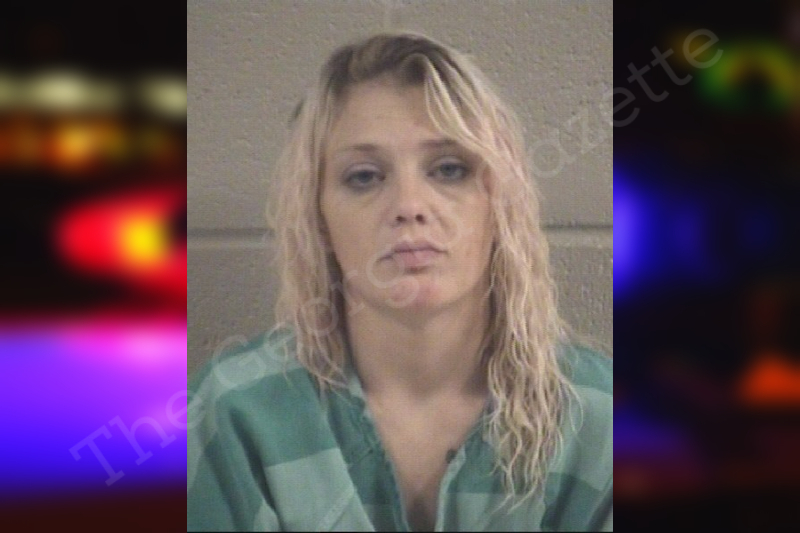 Kaitlyn Fowler — Whitfield County Jail Bookings