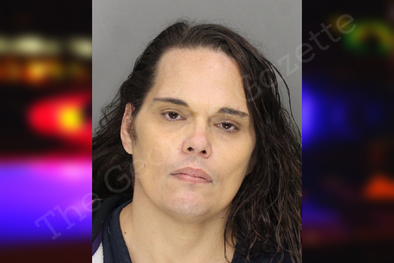 Kristy Flake — Cobb County Jail Bookings