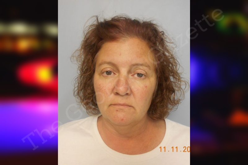 Lisa Lay — Hall County Jail Bookings