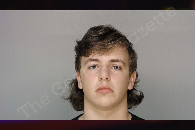 Samuel Lemon — Bibb County Jail Bookings