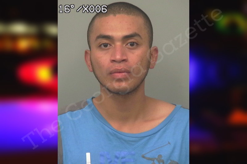 Anthony Lemus-Lara | Gwinnett County