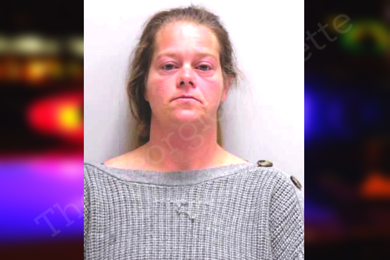 Kendra Lenkowski — Bartow County Jail Bookings