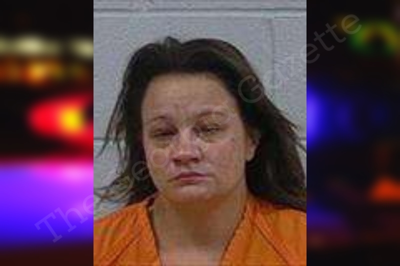 Ginger Locklear — Polk County Jail Bookings