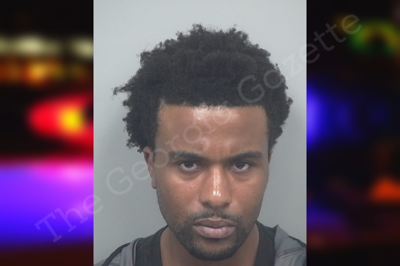 Joshua Lowe — Gwinnett County Jail Bookings