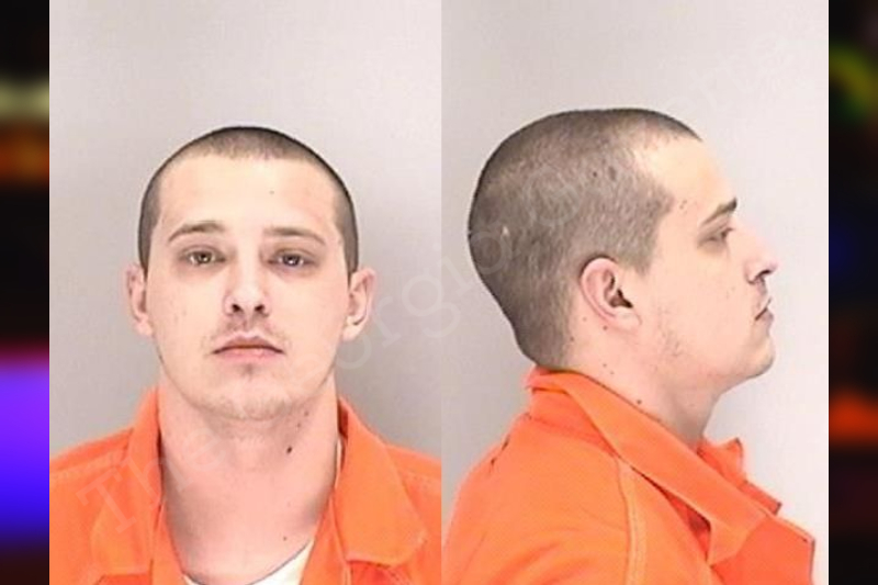 Michael Lowther — Richmond County Jail Bookings
