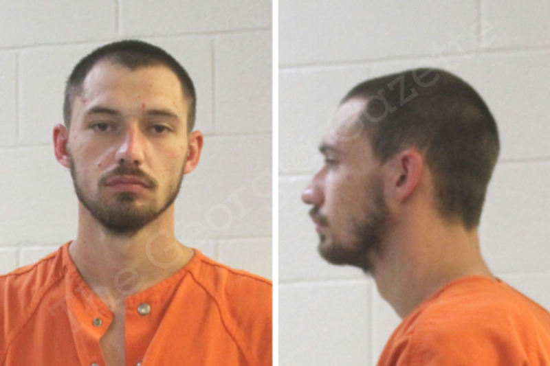 Brandon Lehman — Houston County Jail Bookings