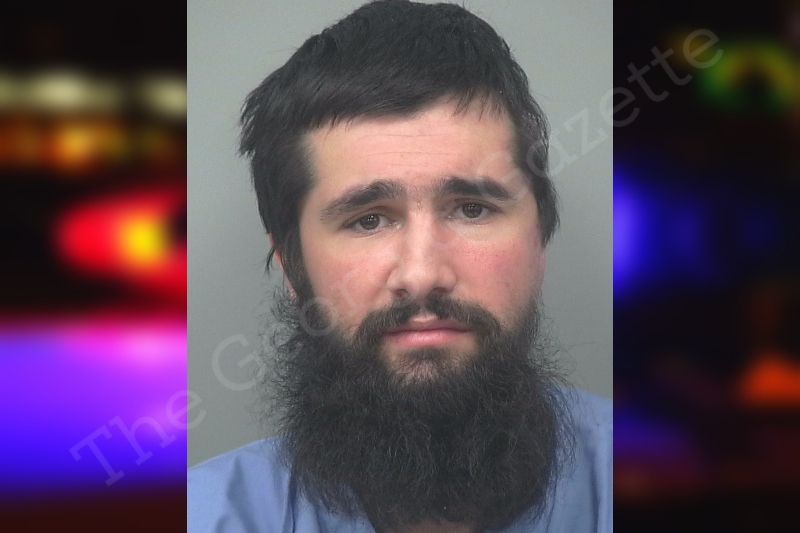 Brandon Matlock — Gwinnett County Jail Bookings