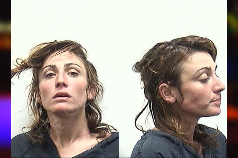 Megan Mayo — Clarke County Jail Bookings