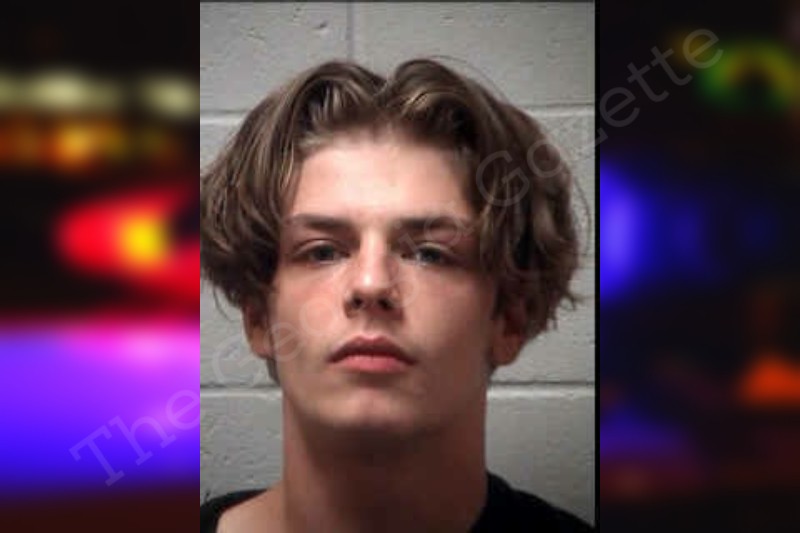 Austin Mcduffie — Henry County Jail Bookings