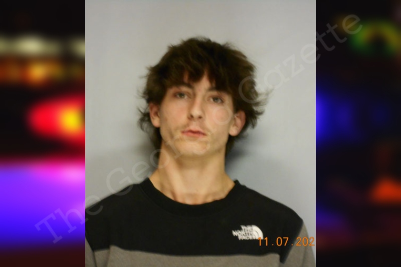 Hayden Paterson — Hall County Jail Bookings