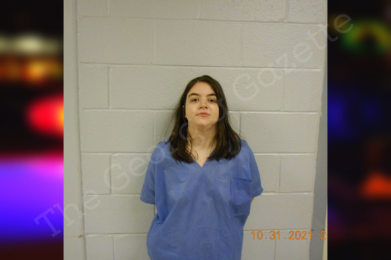 Alexis Ramsey — Hall County Jail Bookings