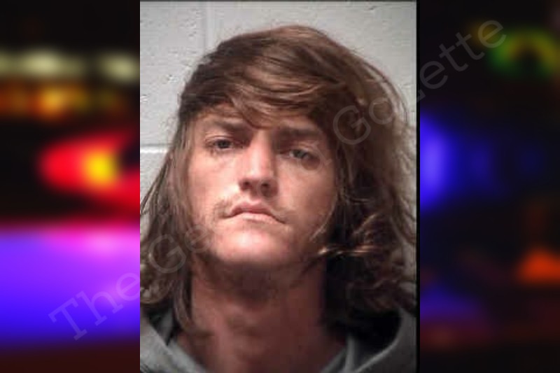 Dillon Rivers — Henry County Jail Bookings