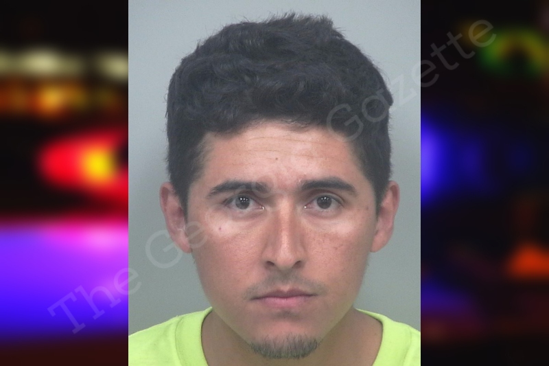 Joni Rosales Henriquez | Gwinnett County