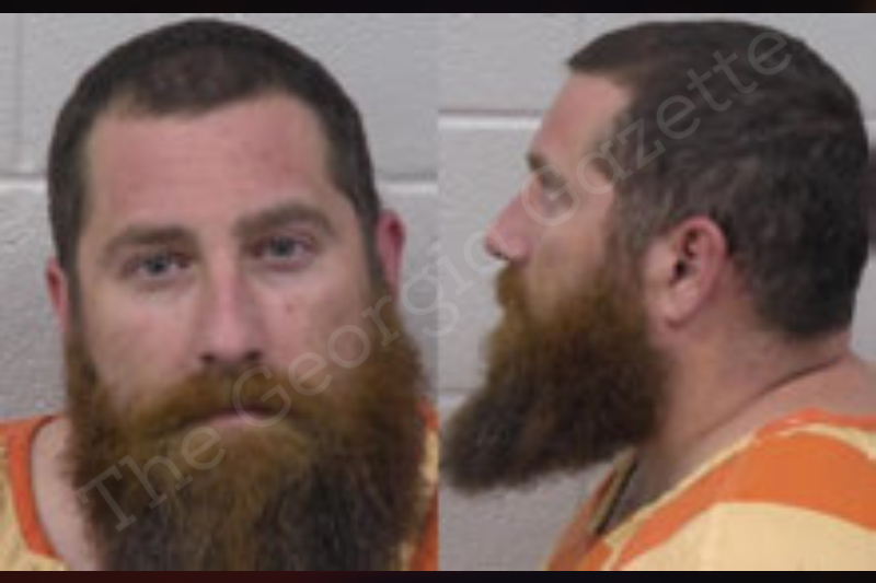 Ray Rawlings — Paulding County Jail Bookings