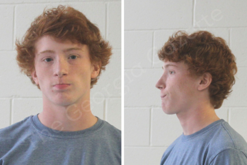 Gabriel Rice — Houston County Jail Bookings